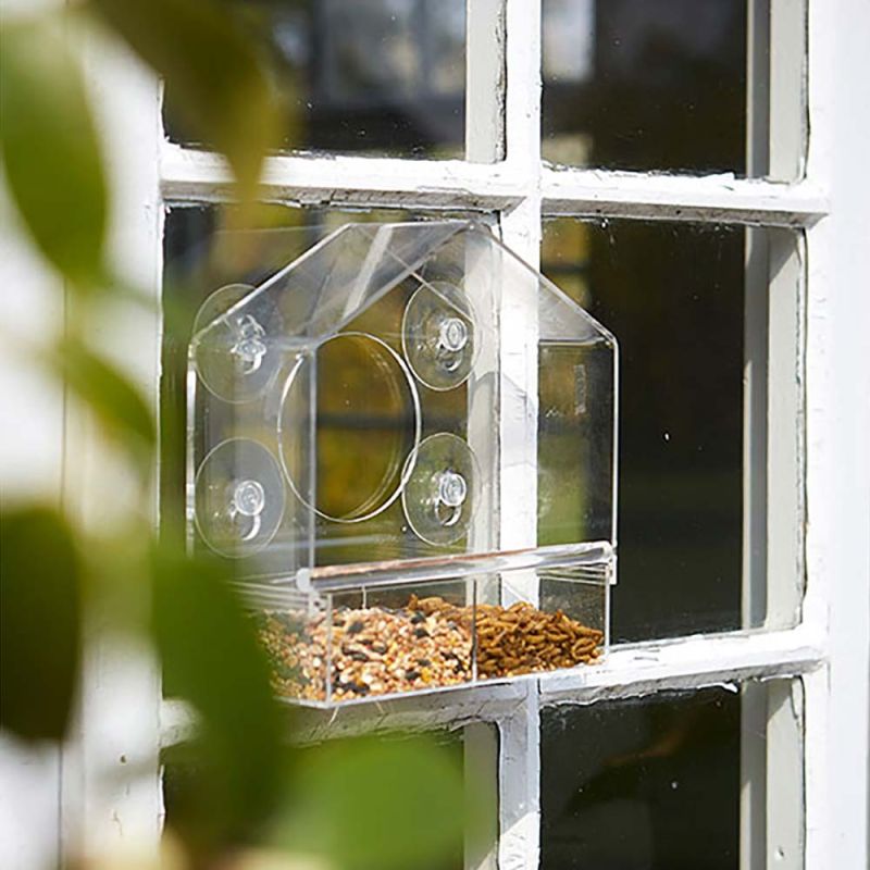 Observer Window Feeder