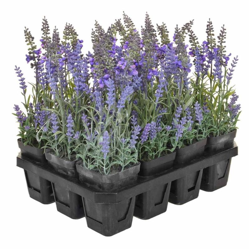 PP Lavender Tray - Purple (12 Pieces)