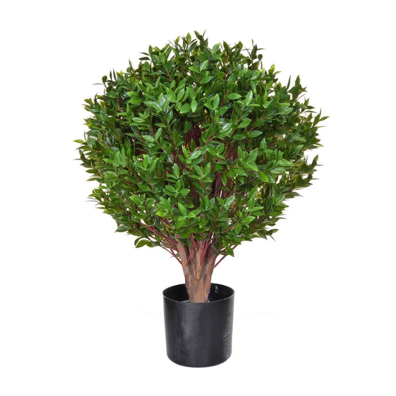 Topiary Privet Tree (65cm) (UV Protected)