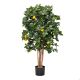 4ft (120cm) Lemon Tree with Fruit