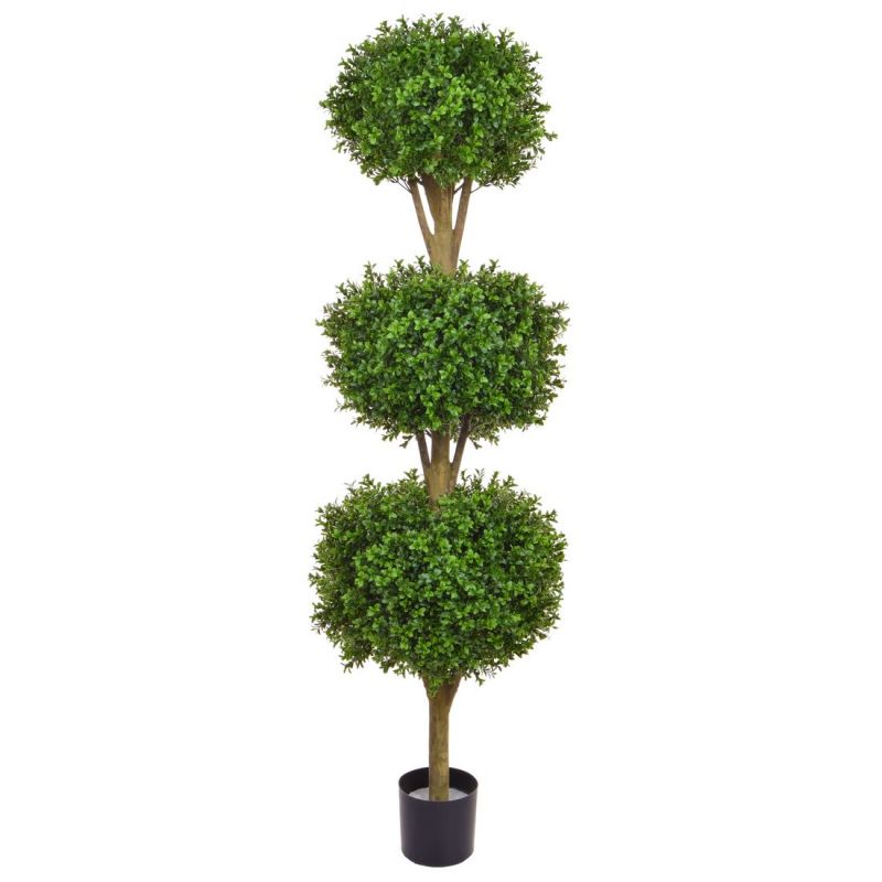 5ft (150cm) Topiary Buxus (Boxwood) Triple Ball Tree
