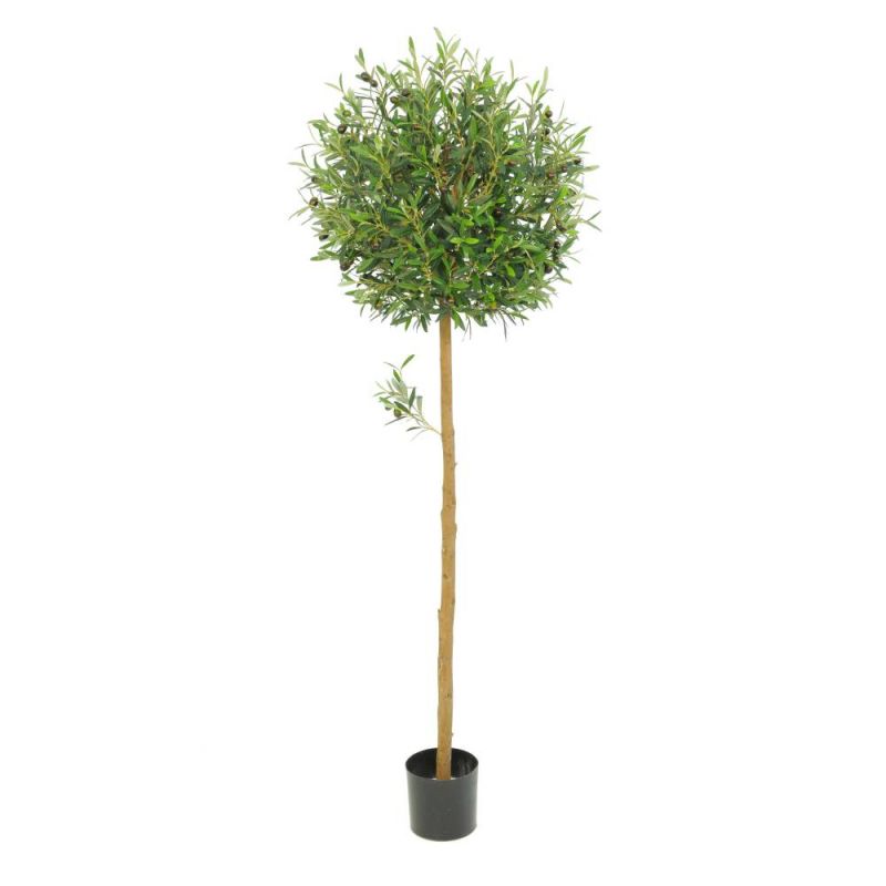90cm Olive Ball Tree